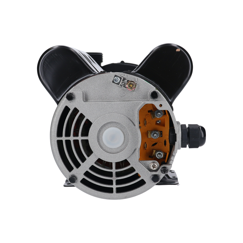 15 Hp Lx Spa Pump 2 Speed 230v 48wua1502c Ii Everything You Need For Your